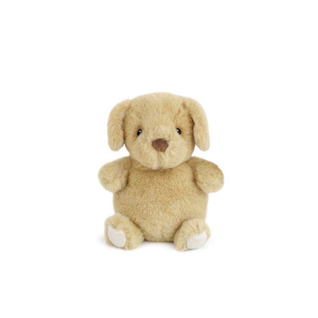 {Mon Ami} Jake Peanut Petite Puppy :: Tan – Ellington & French